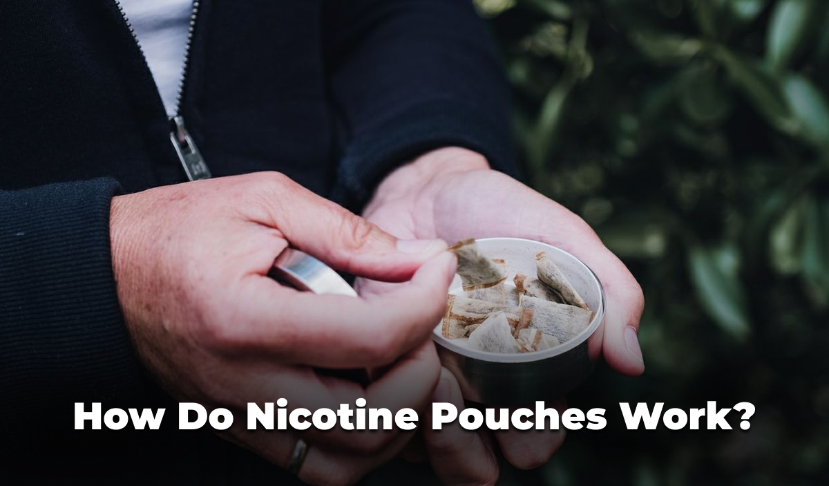 The Science Behind Nicotine Pouches: How They Work and Their Benefits ...